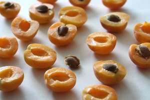 Cashew Cream Stuffed Apricots with Fresh Basil - Baker by Nature