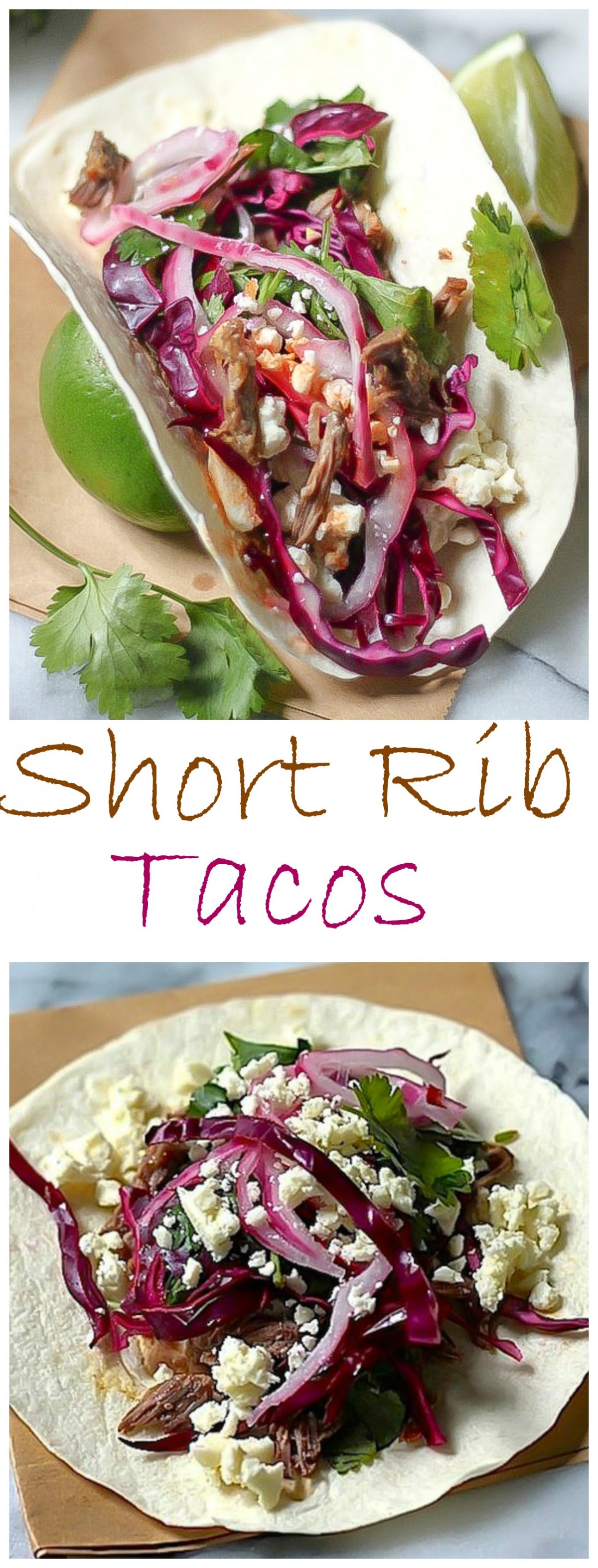 Beer Braised Short Rib Tacos with Cabbage Cilantro Slaw, Pickled Red ...