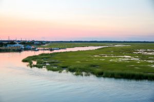Snaps of Stone Harbor - Baker by Nature