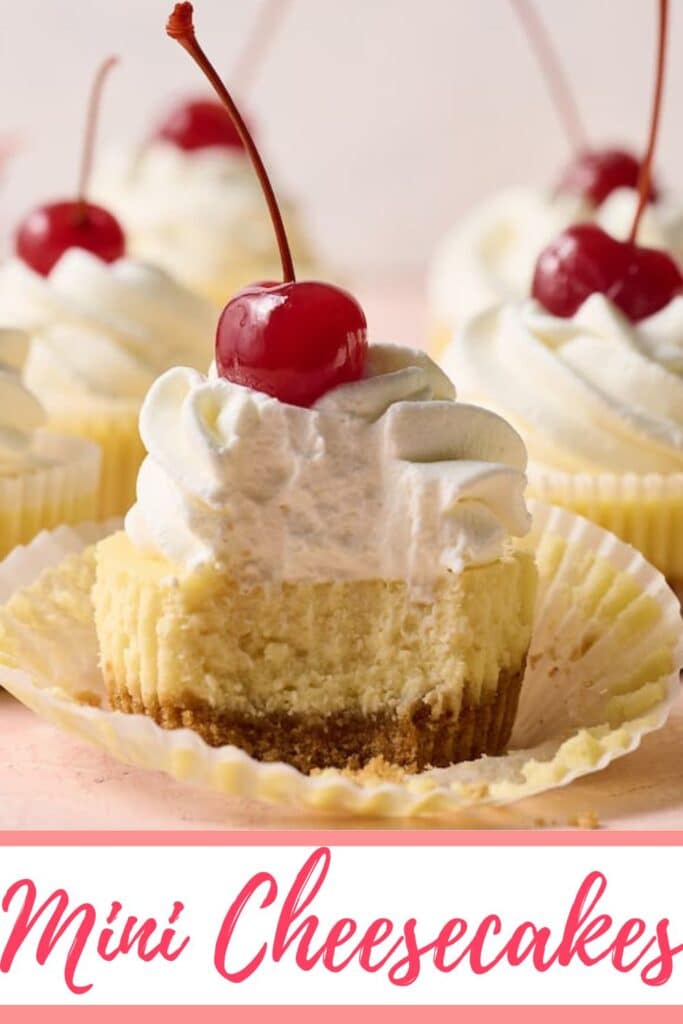 Mini Cheesecakes - Baker by Nature