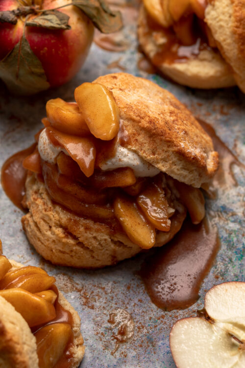 Cinnamon Apple Shortcakes - Baker by Nature